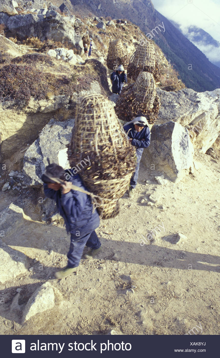 Load Heavy Everest Trek High Resolution Stock Photography and Images ...