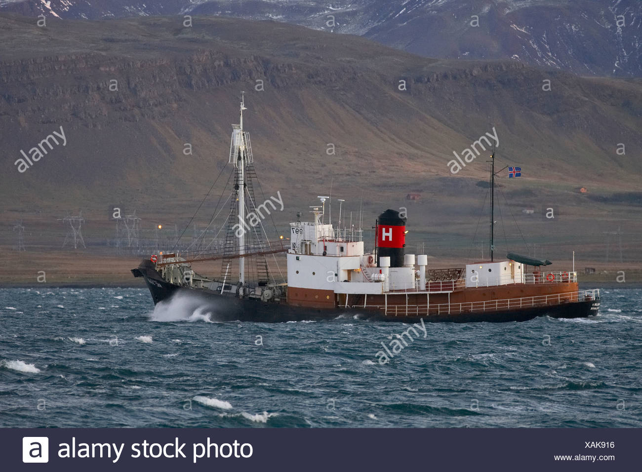 Whaling Ship Arctic High Resolution Stock Photography and Images - Alamy