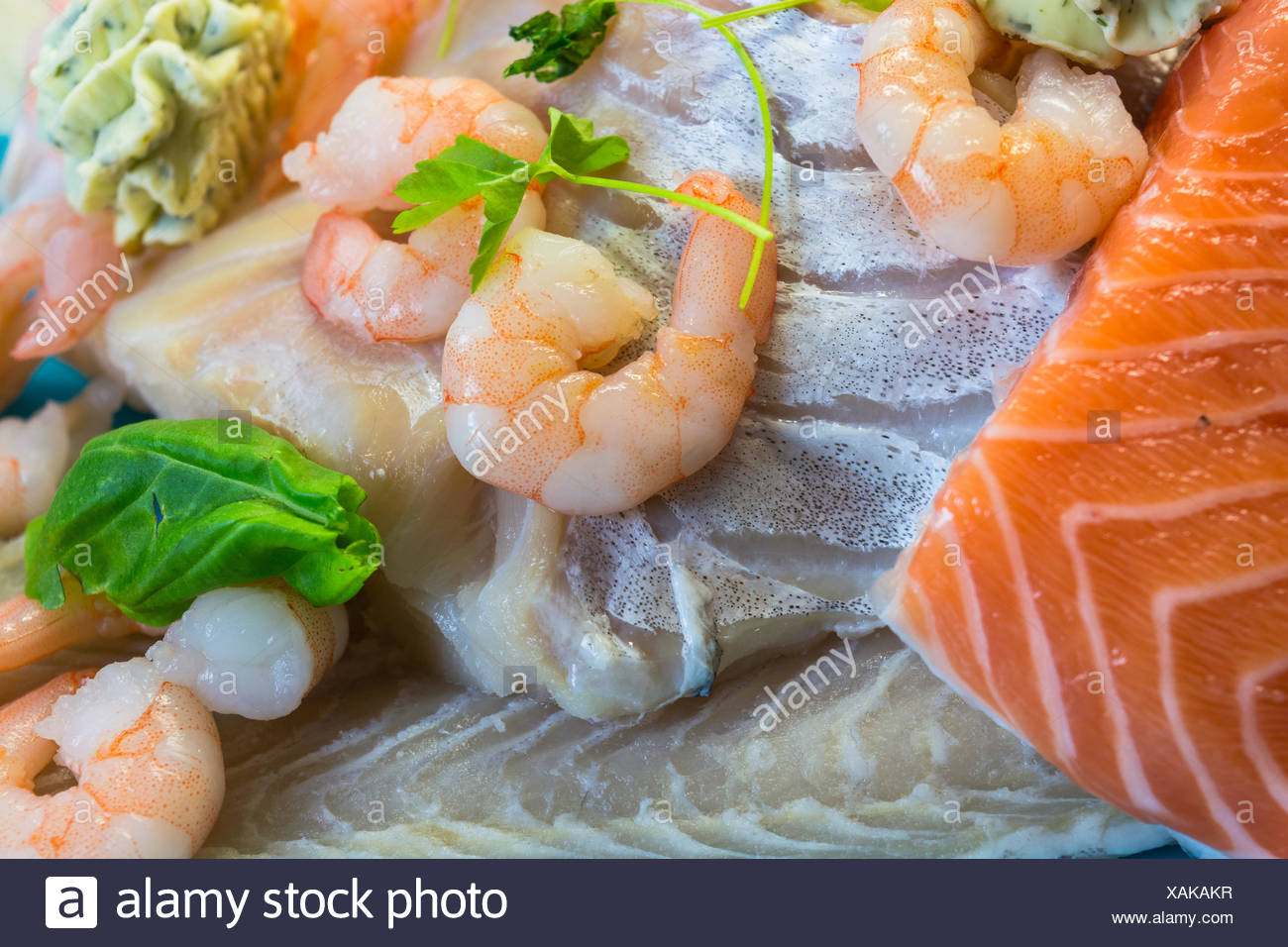 Fischarten High Resolution Stock Photography and Images - Alamy