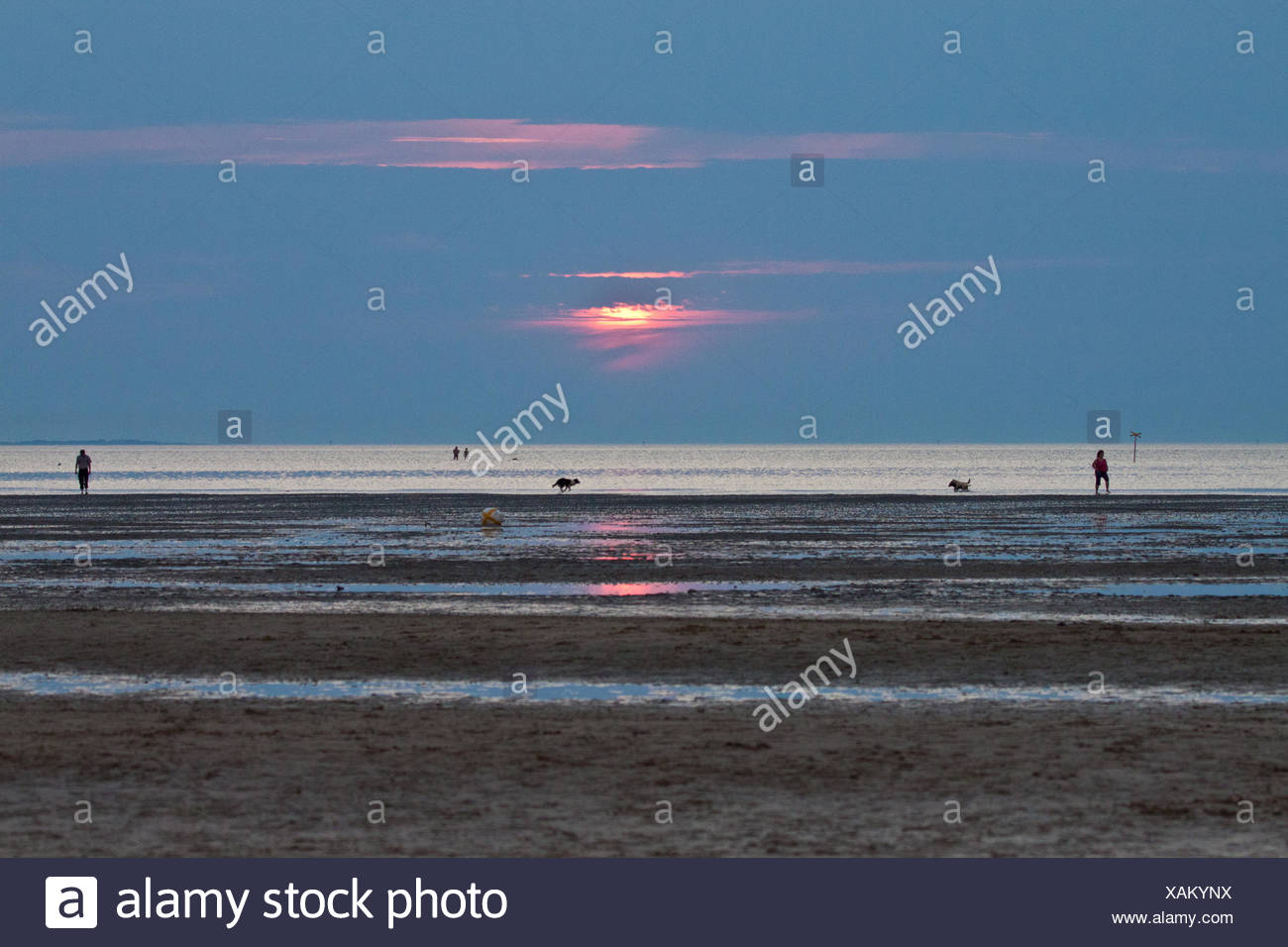 Wadden Sea National Parks High Resolution Stock Photography and Images ...