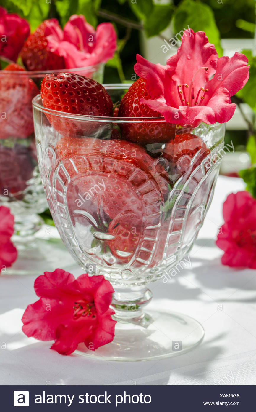 Fruit Rhododendron High Resolution Stock Photography and Images - Alamy