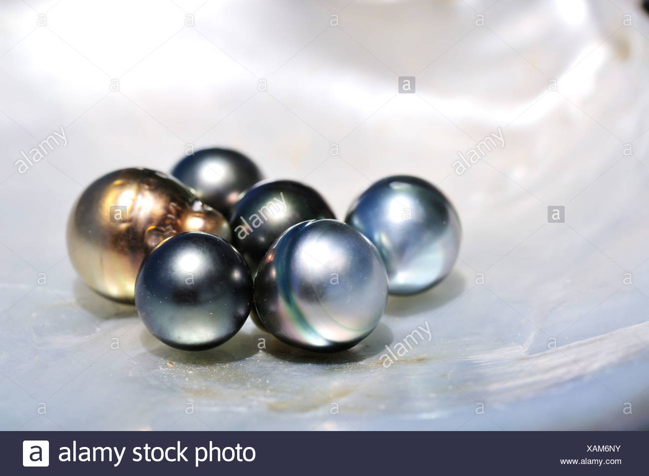 Pearling High Resolution Stock Photography and Images - Alamy