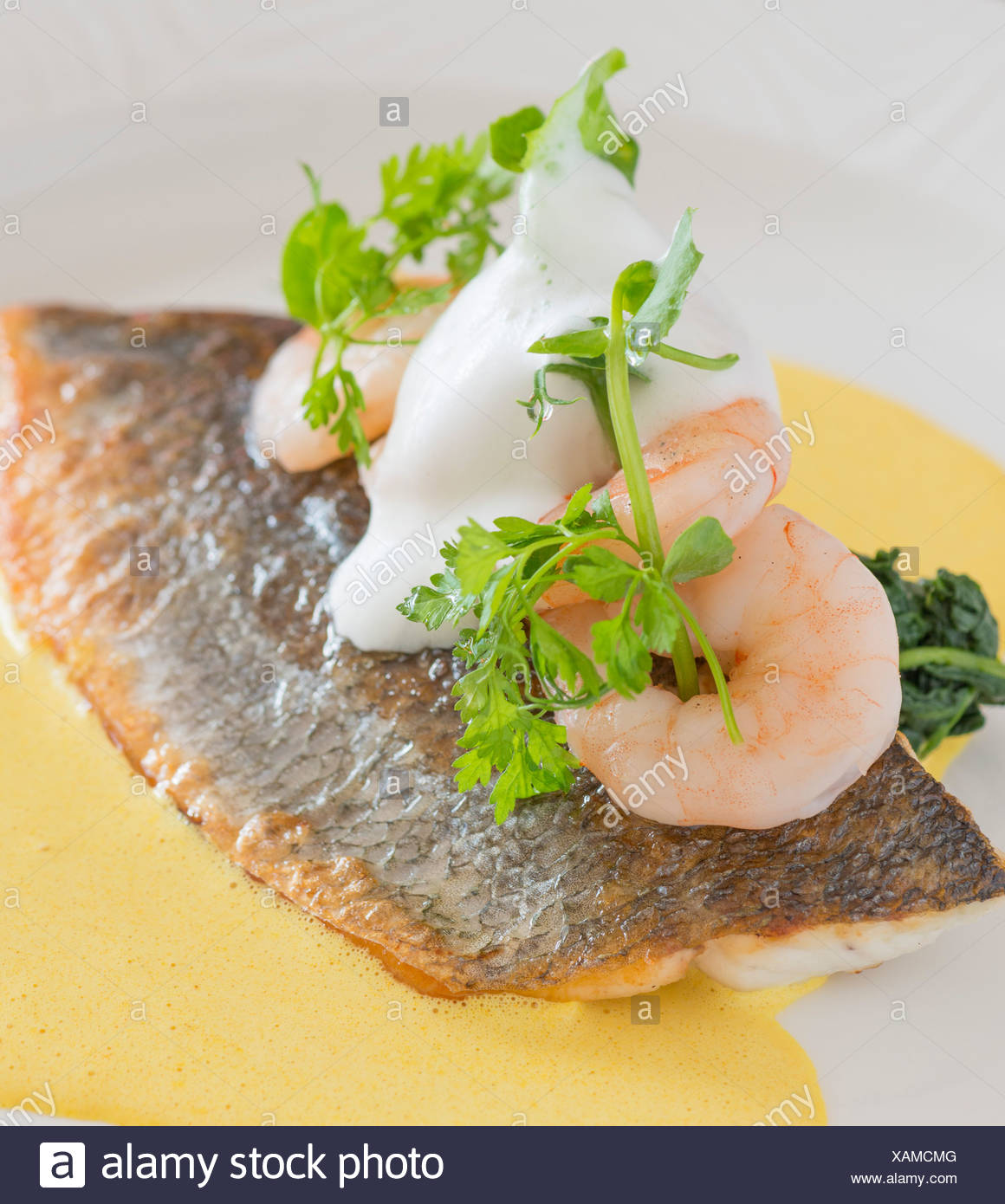 The Main Course Restaurant High Resolution Stock Photography and Images ...