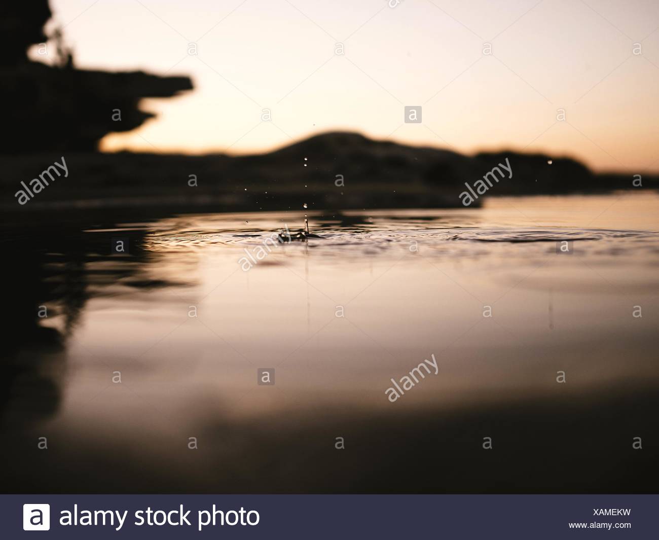 Water Drop Stock Photos & Water Drop Stock Images - Alamy