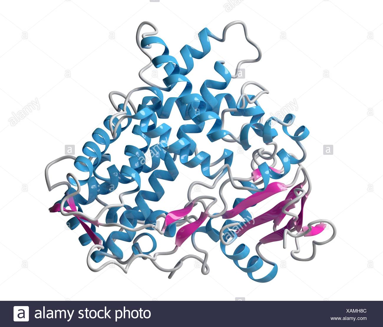 Cytochrome P450 High Resolution Stock Photography and Images - Alamy