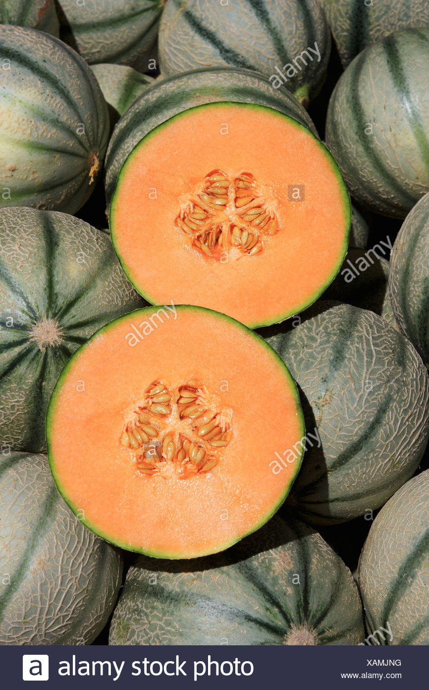 Mature Melons Stock Photos & Mature Melons Stock Images - Alamy