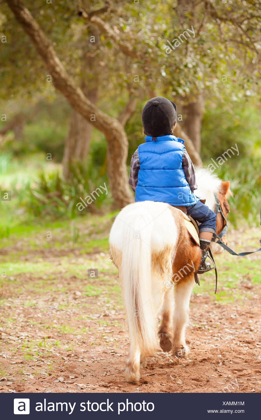 Boy With A Horse High Resolution Stock Photography and Images - Alamy