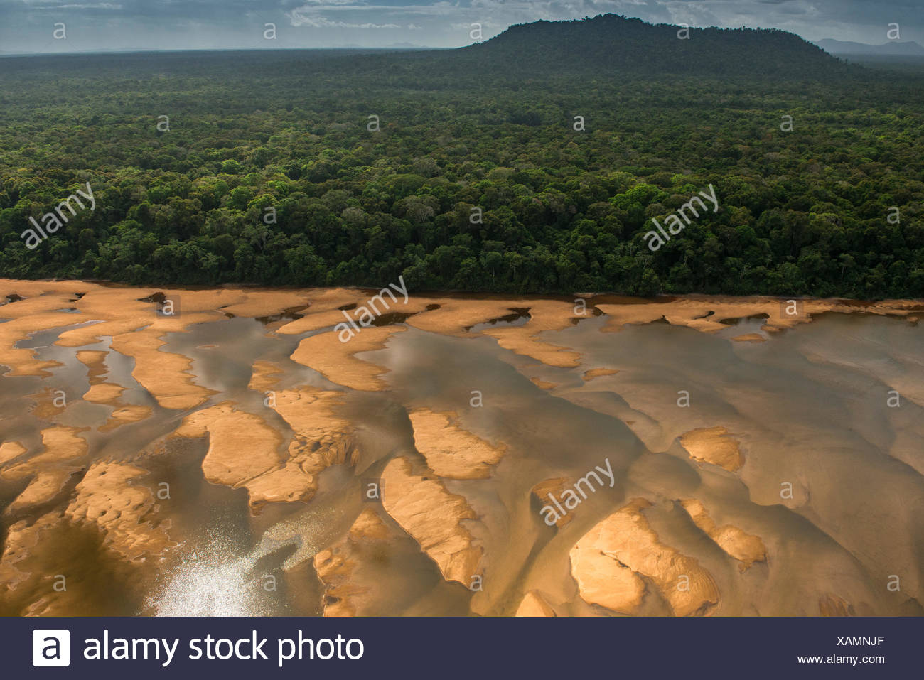 The Longest River In Guyana High Resolution Stock Photography and ...