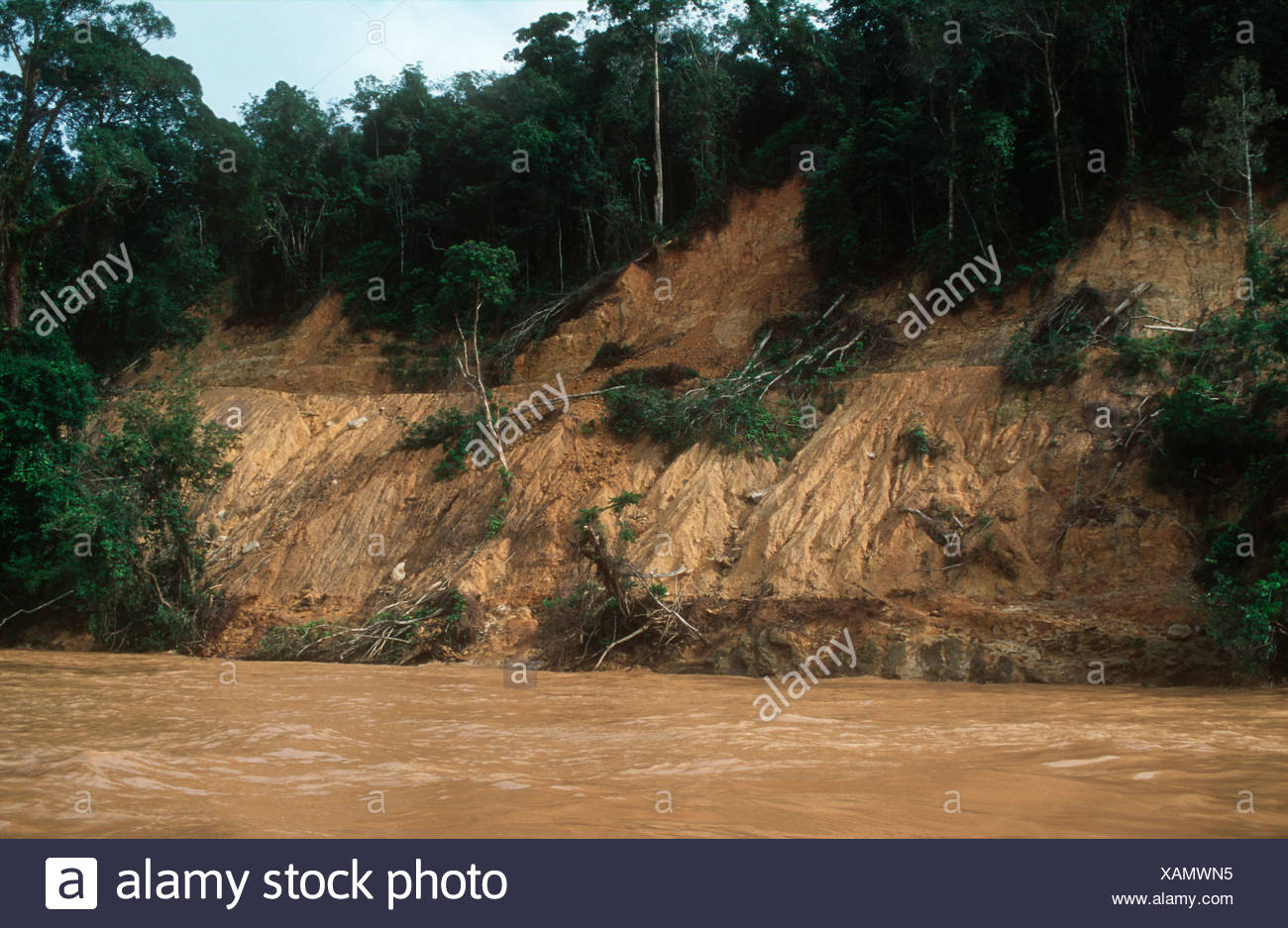 Deforestation Rainforest Erosion Stock Photos & Deforestation ...