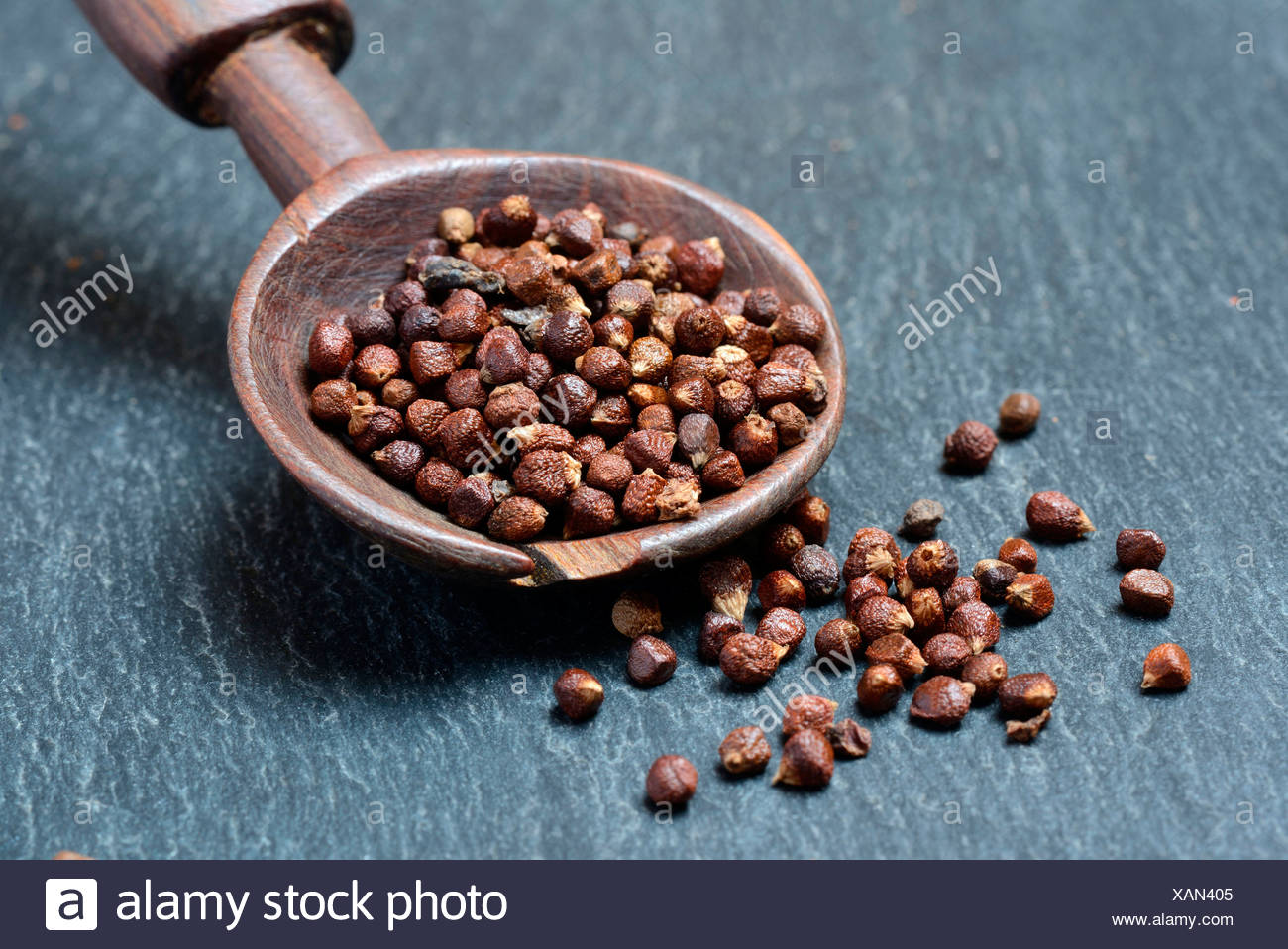 Aframomum Melegueta High Resolution Stock Photography and Images - Alamy
