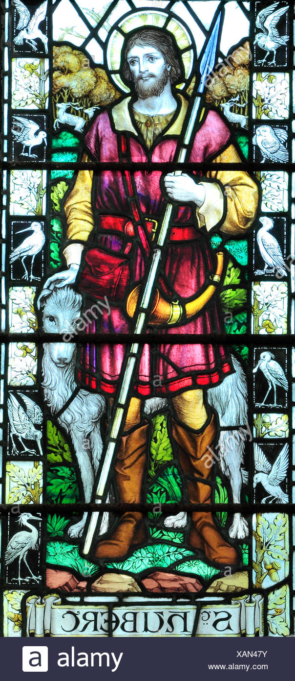 Saint Hubert Hound High Resolution Stock Photography and Images - Alamy