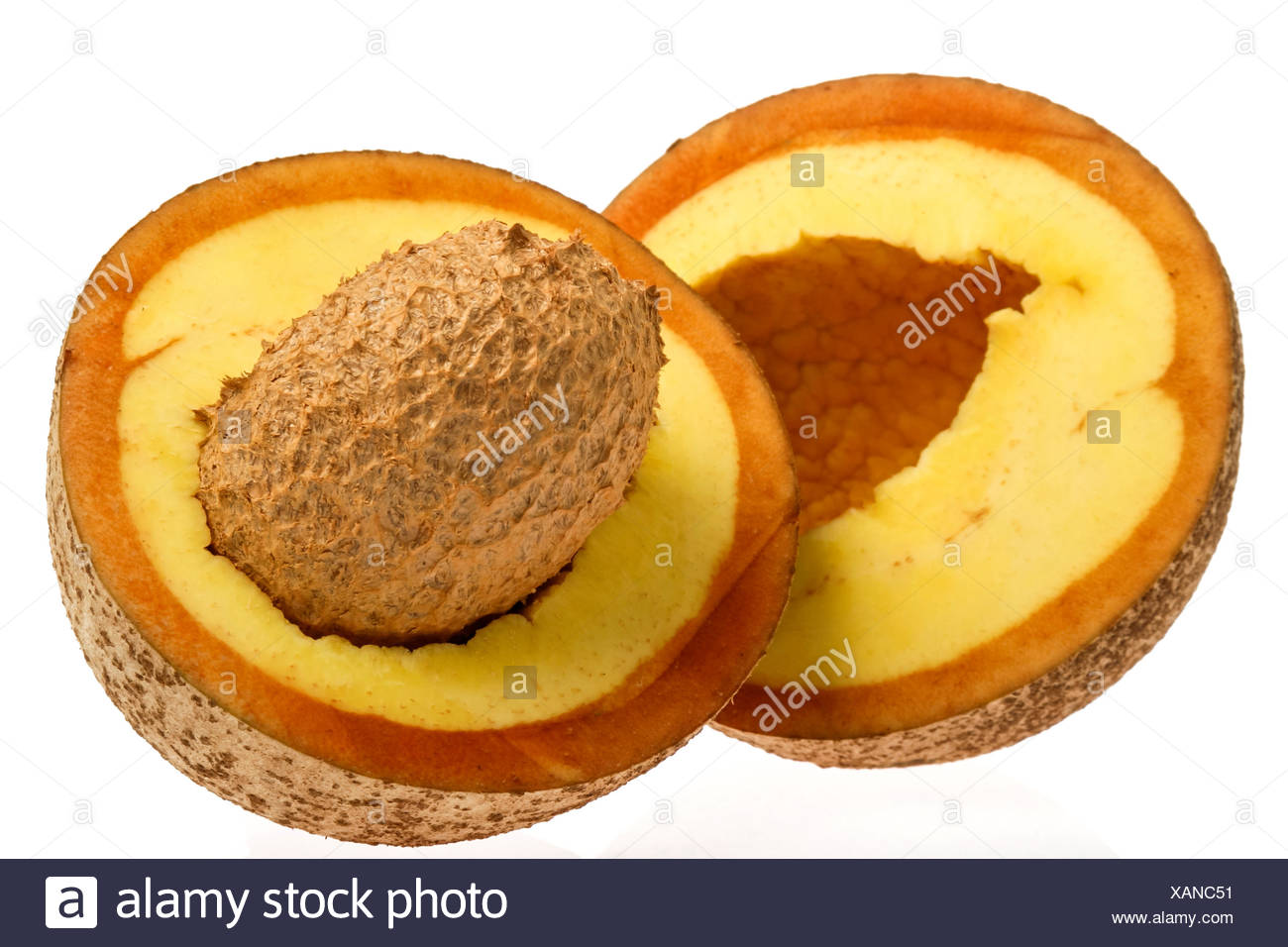 Mammee Fruit High Resolution Stock Photography and Images - Alamy