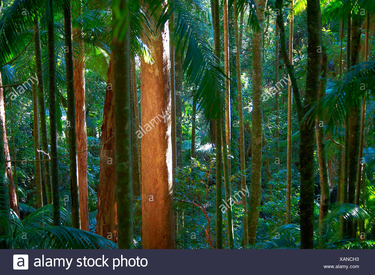 Border Forest Park High Resolution Stock Photography and Images - Alamy
