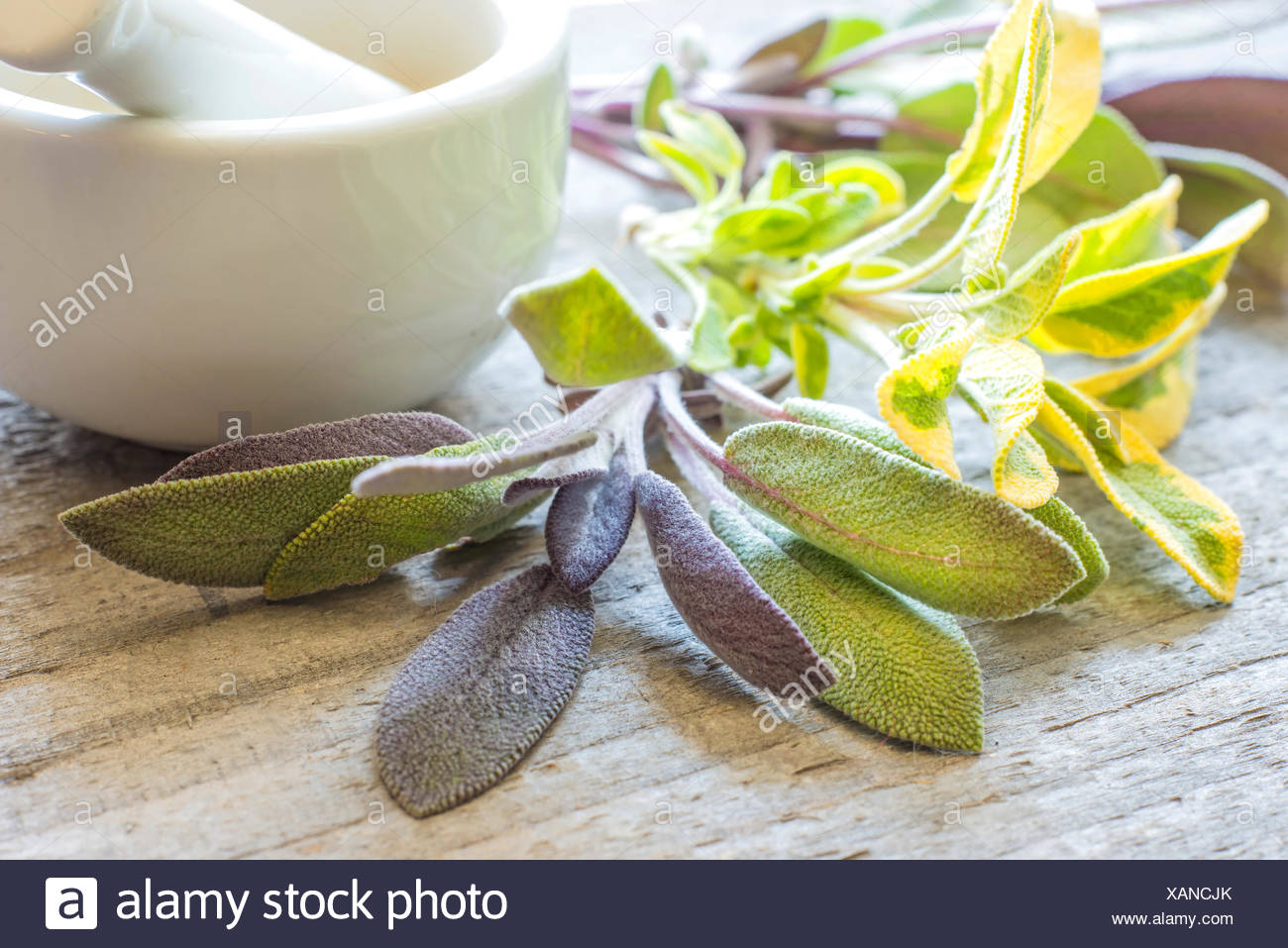 Sage Tea Boil High Resolution Stock Photography and Images - Alamy