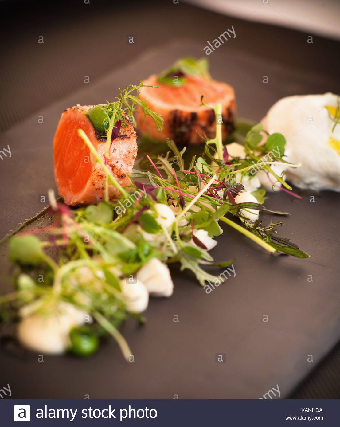 Fresh Salmon Plate Stock Photos & Fresh Salmon Plate Stock Images - Alamy