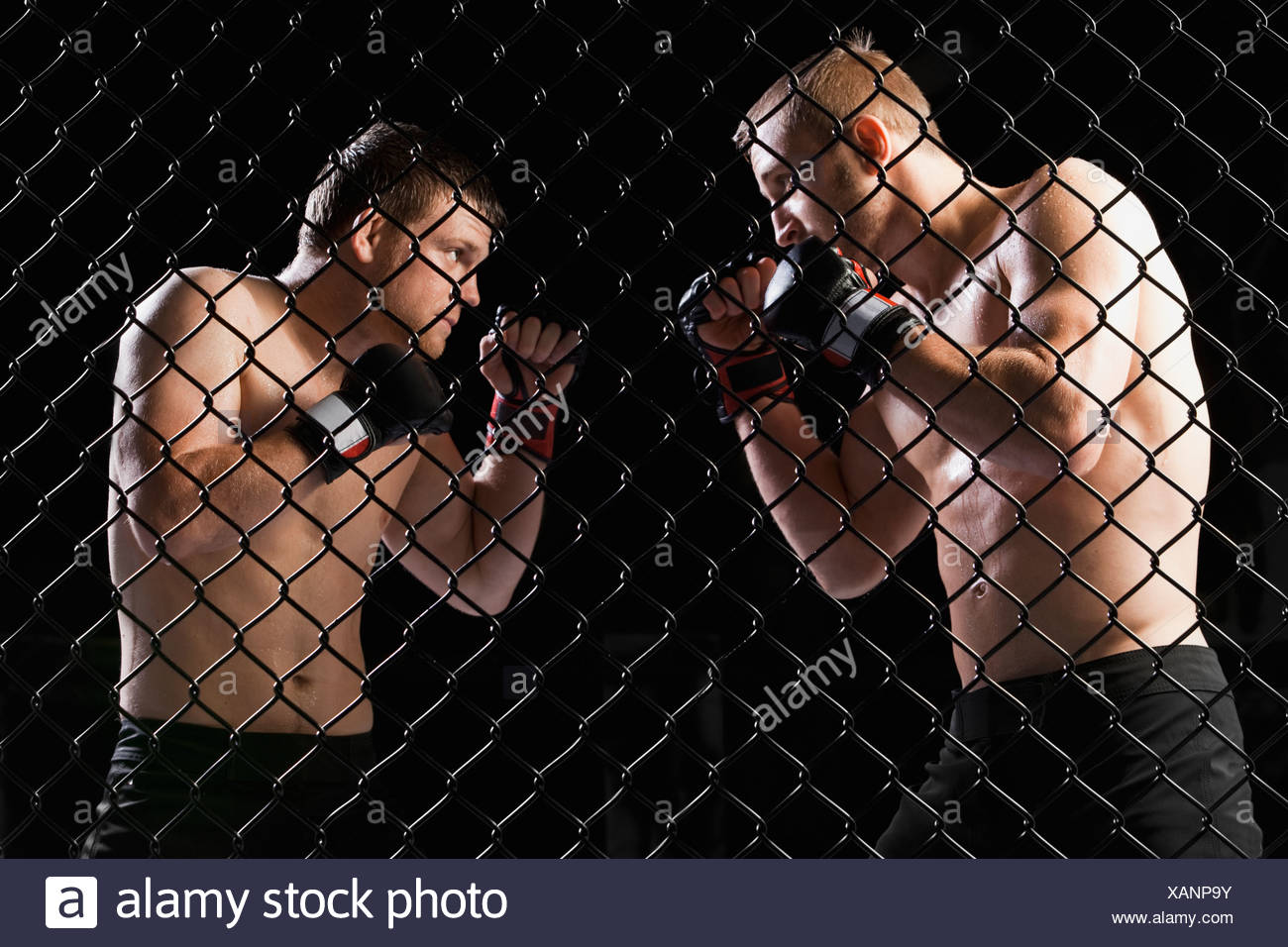 Boxing Contests High Resolution Stock Photography and Images - Alamy