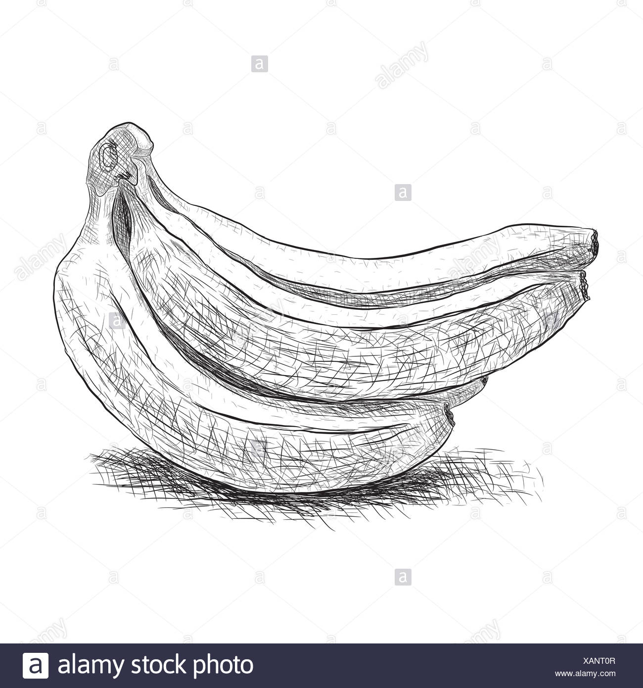 Banana Vector Sketch High Resolution Stock Photography and Images - Alamy