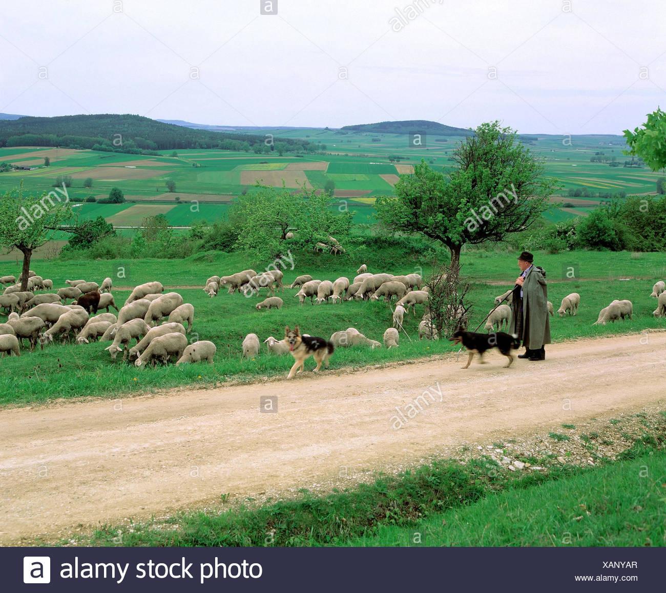 Schafhirte Stock Photos & Schafhirte Stock Images - Alamy