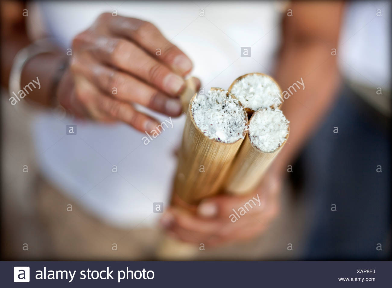 Rice Shoots Stock Photos & Rice Shoots Stock Images - Alamy