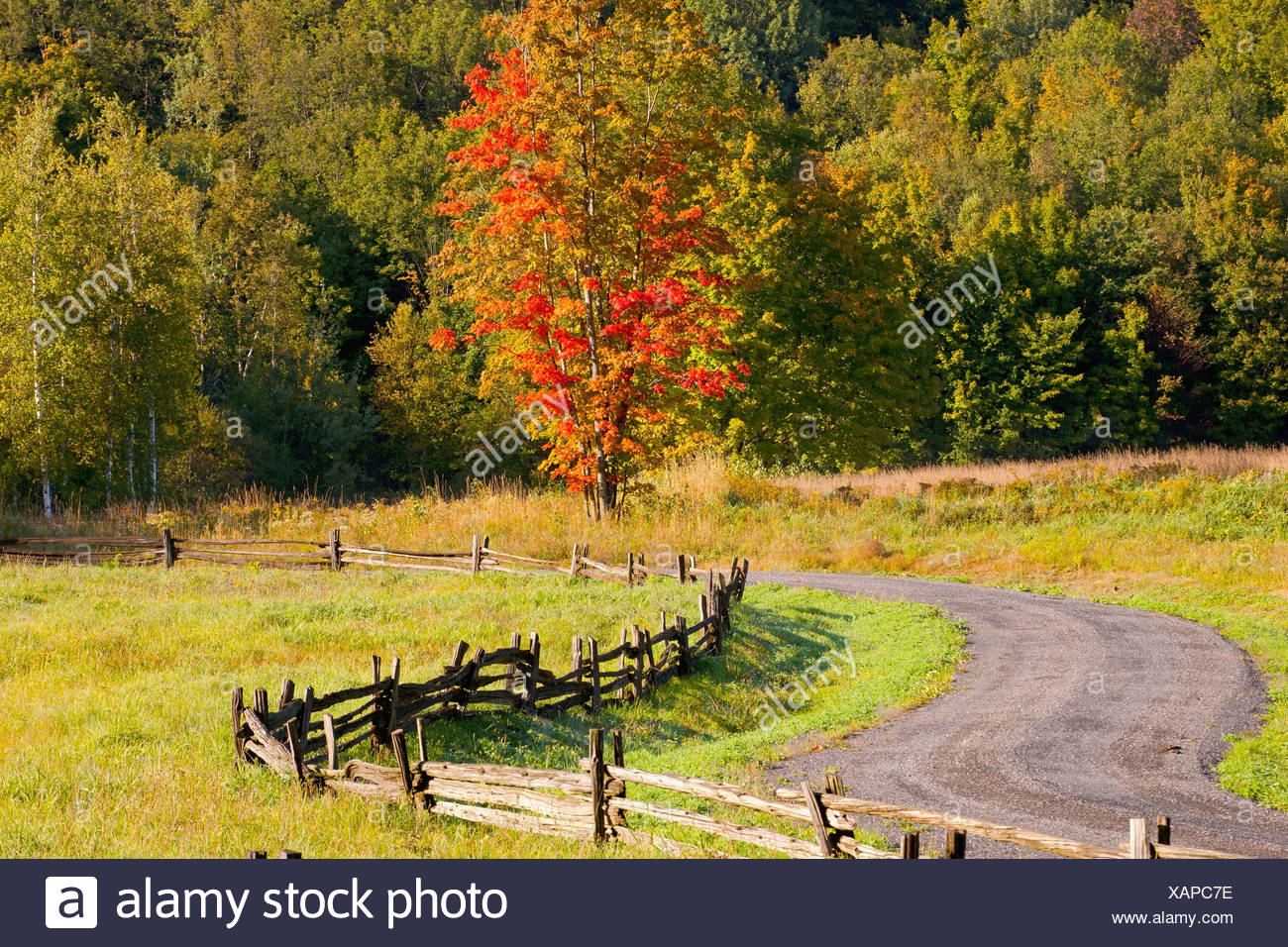 Quebec Country High Resolution Stock Photography and Images - Alamy