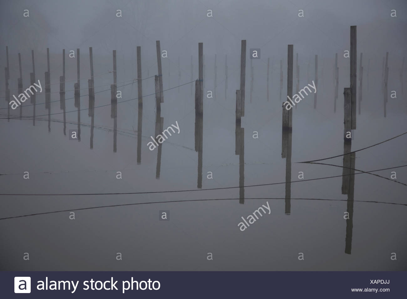Wooden Pole Reflection High Resolution Stock Photography and Images - Alamy