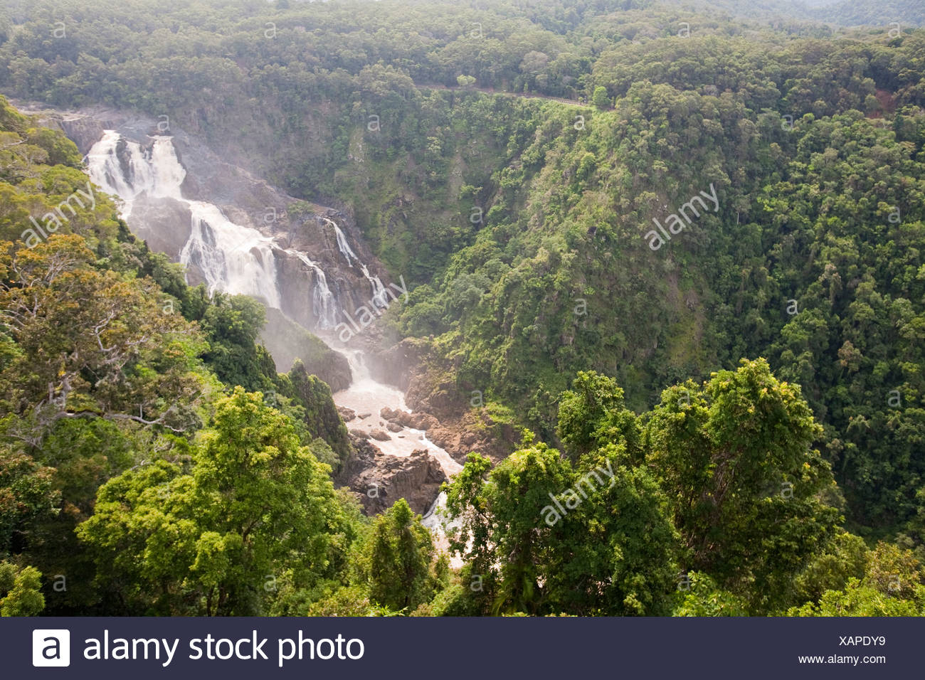 Of Barron Falls High Resolution Stock Photography and Images - Alamy