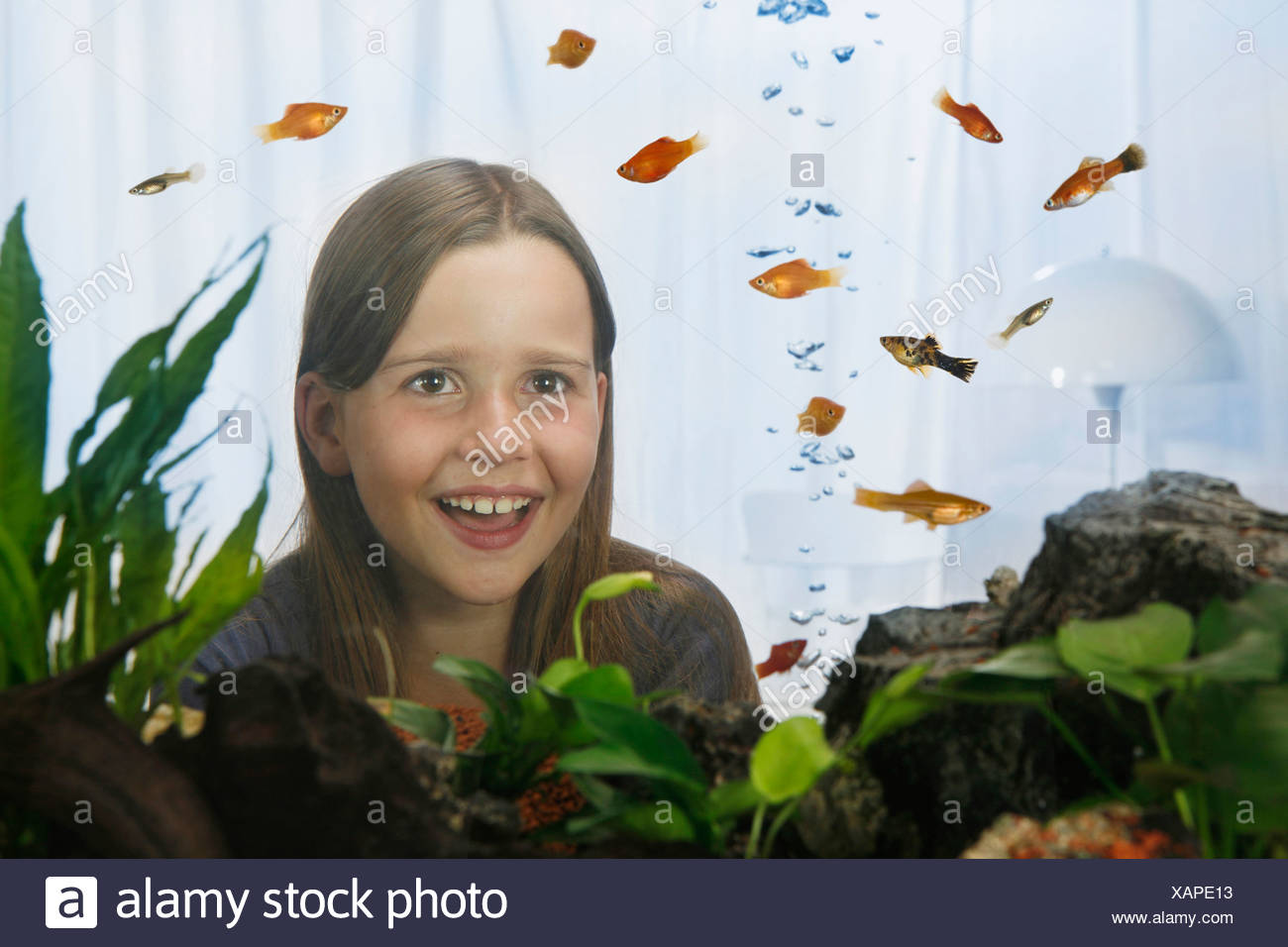 Dark Fish Tank High Resolution Stock Photography and Images - Alamy