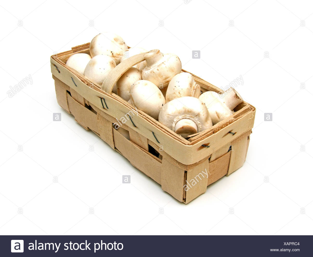 Kulturchampignons High Resolution Stock Photography and Images - Alamy