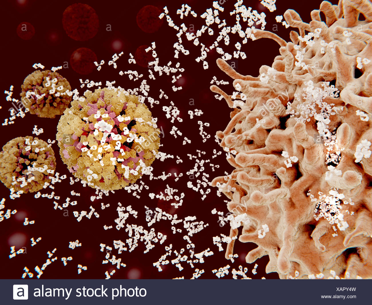 Viral Cell High Resolution Stock Photography and Images - Alamy