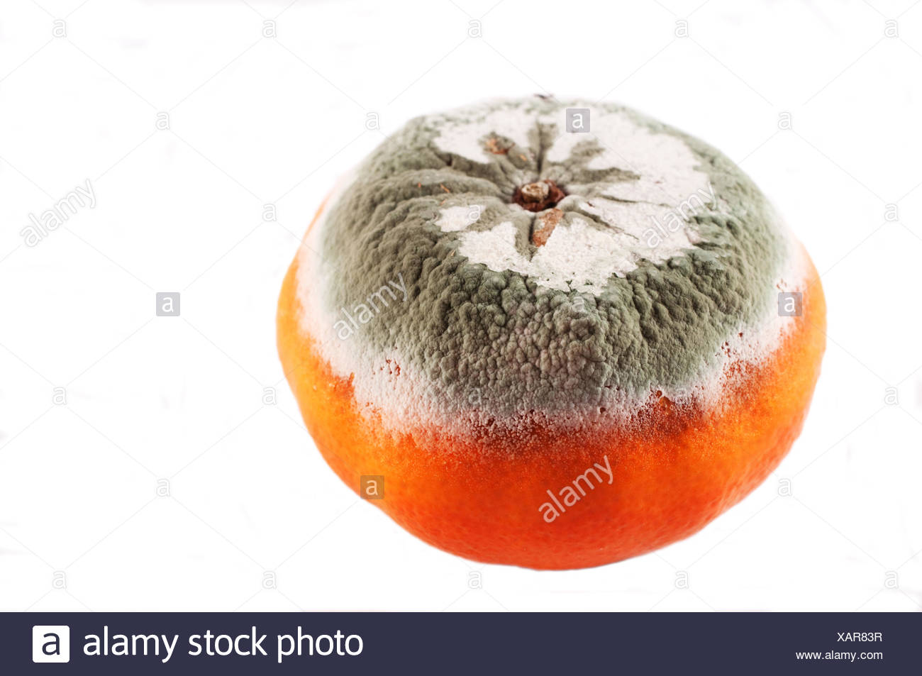 Mouldy Fruit High Resolution Stock Photography and Images - Alamy
