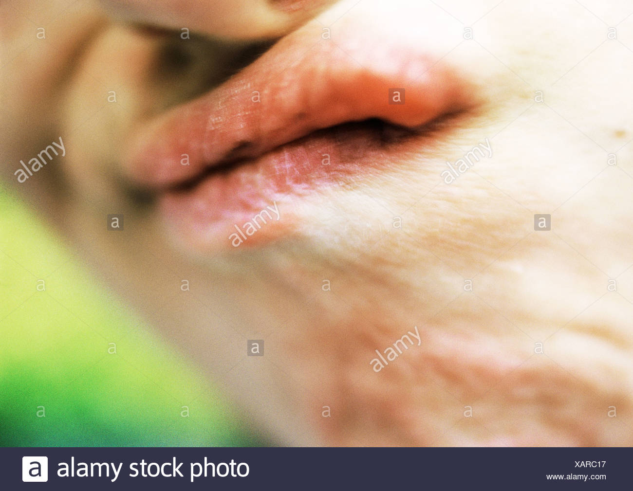 Horrible Faces Stock Photos & Horrible Faces Stock Images - Alamy