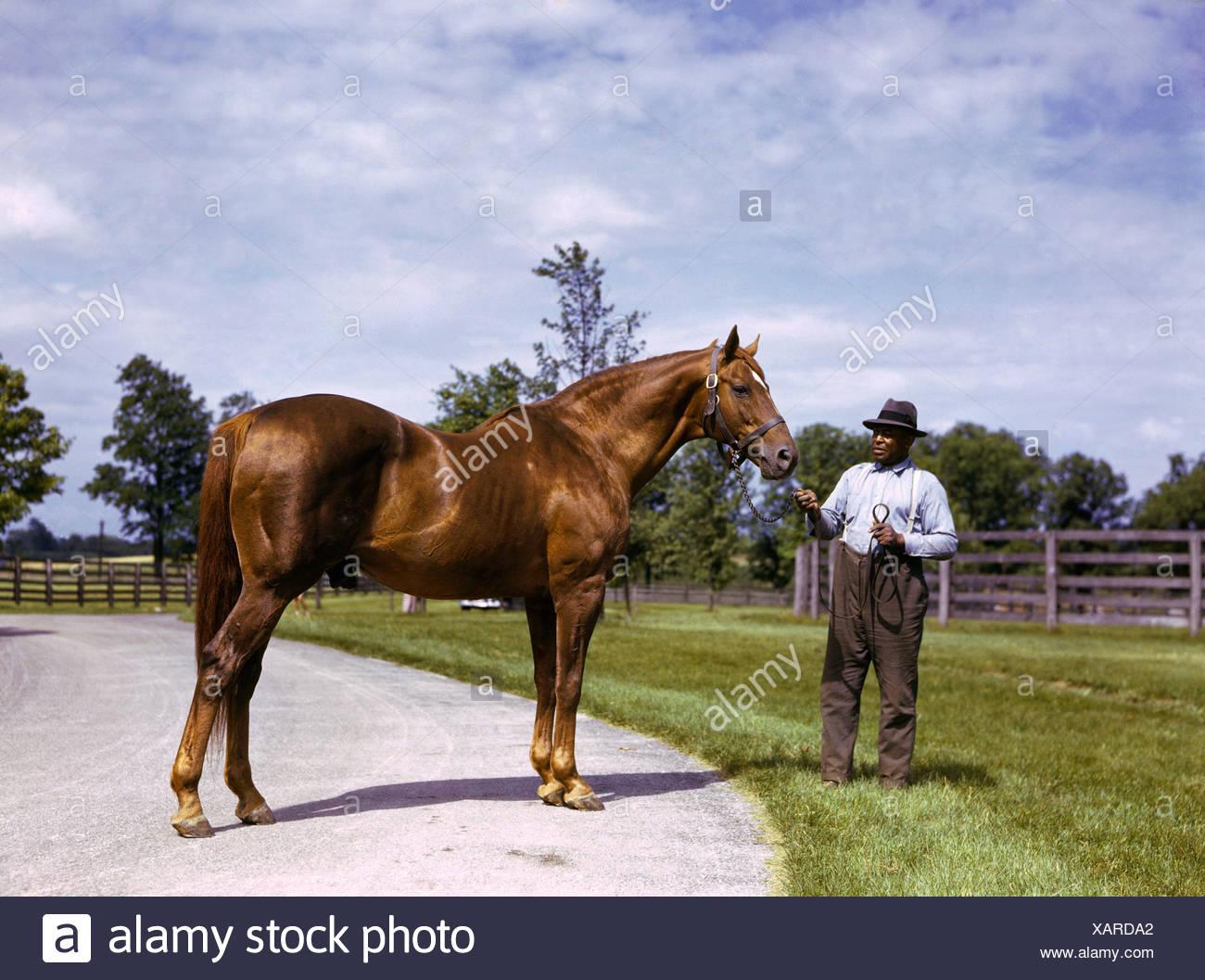 Man O War Stock Photos & Man O War Stock Images - Alamy