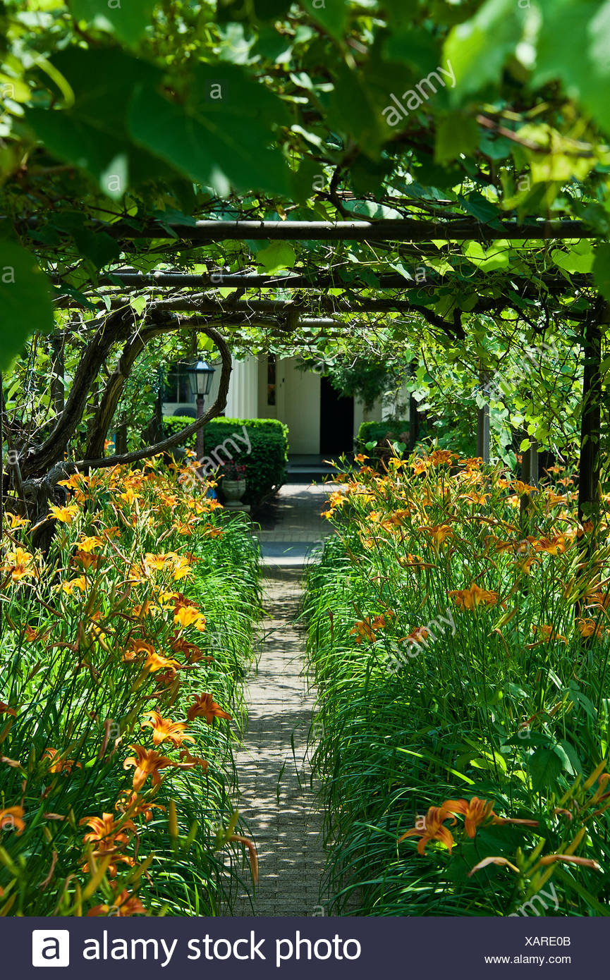 New Perennials High Resolution Stock Photography and Images - Alamy