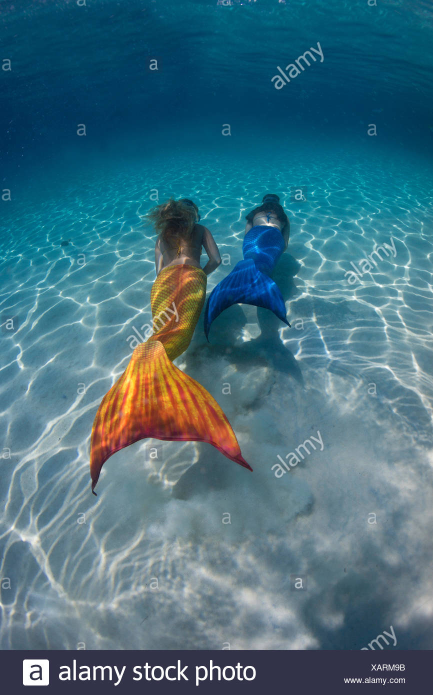 Diver Mermaid High Resolution Stock Photography and Images - Alamy
