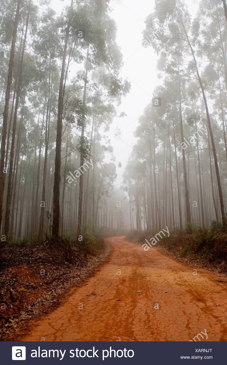Limpopo Province South Africa Scenic Stock Photos & Limpopo Province ...