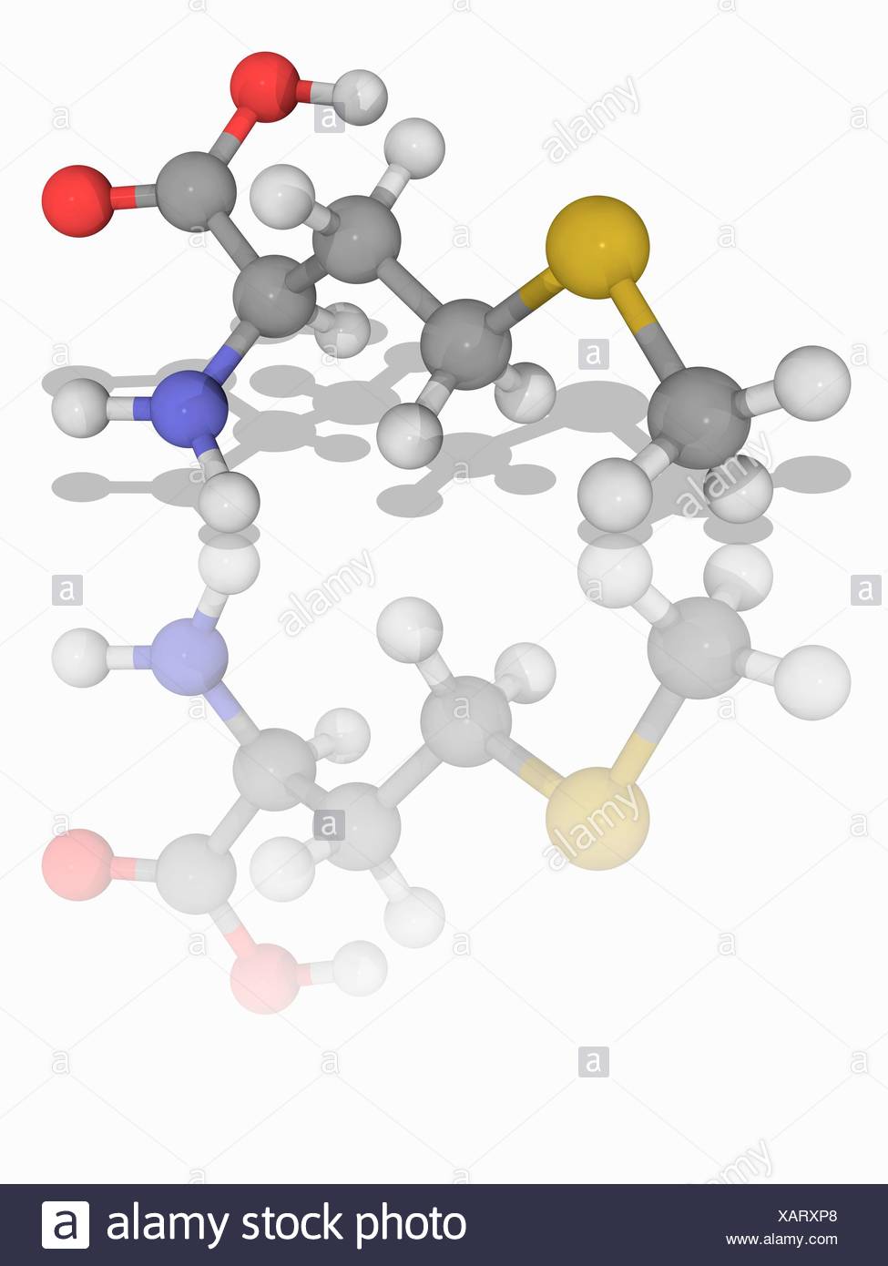 Essential Alpha Amino High Resolution Stock Photography and Images - Alamy