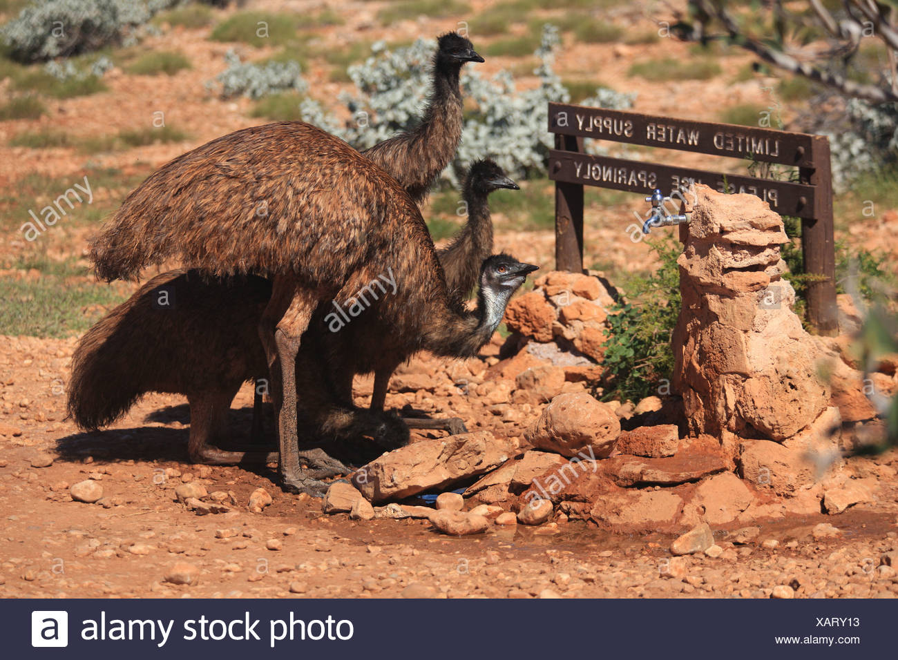 Australian Mythology High Resolution Stock Photography and Images - Alamy