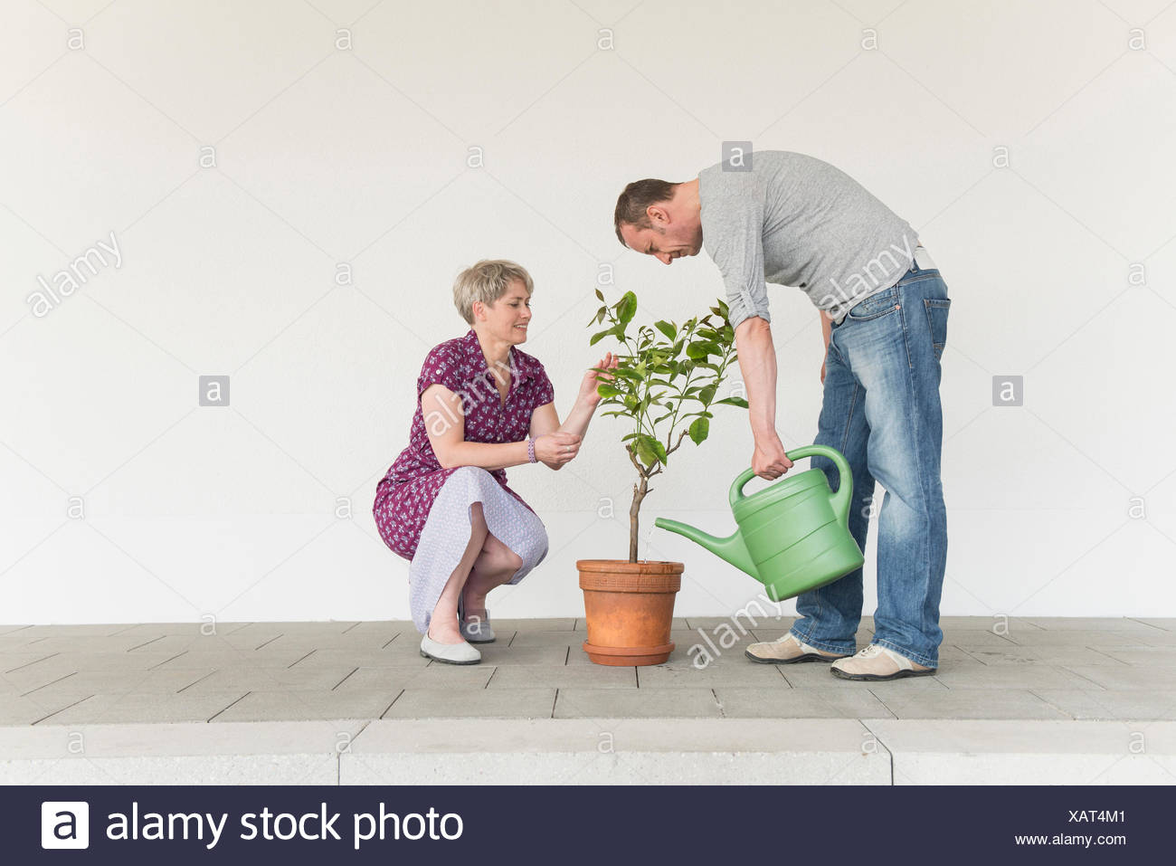 Nursing Tree High Resolution Stock Photography and Images - Alamy