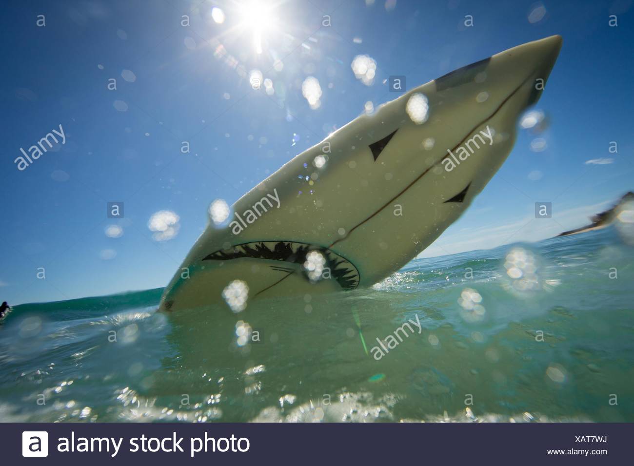 Shark Surfboard Stock Photos & Shark Surfboard Stock Images - Alamy