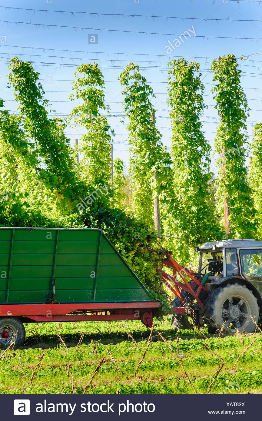 Fruit Harvesting Machine Stock Photos & Fruit Harvesting Machine Stock ...
