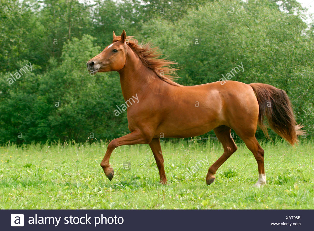 Morgans Walk High Resolution Stock Photography and Images - Alamy