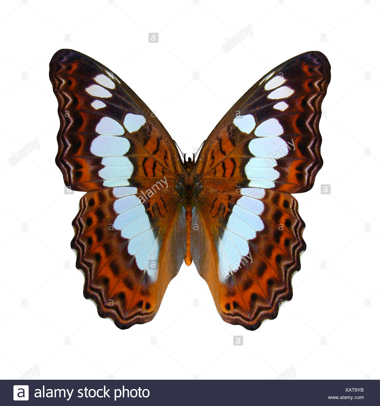 Nice Environment High Resolution Stock Photography and Images - Alamy