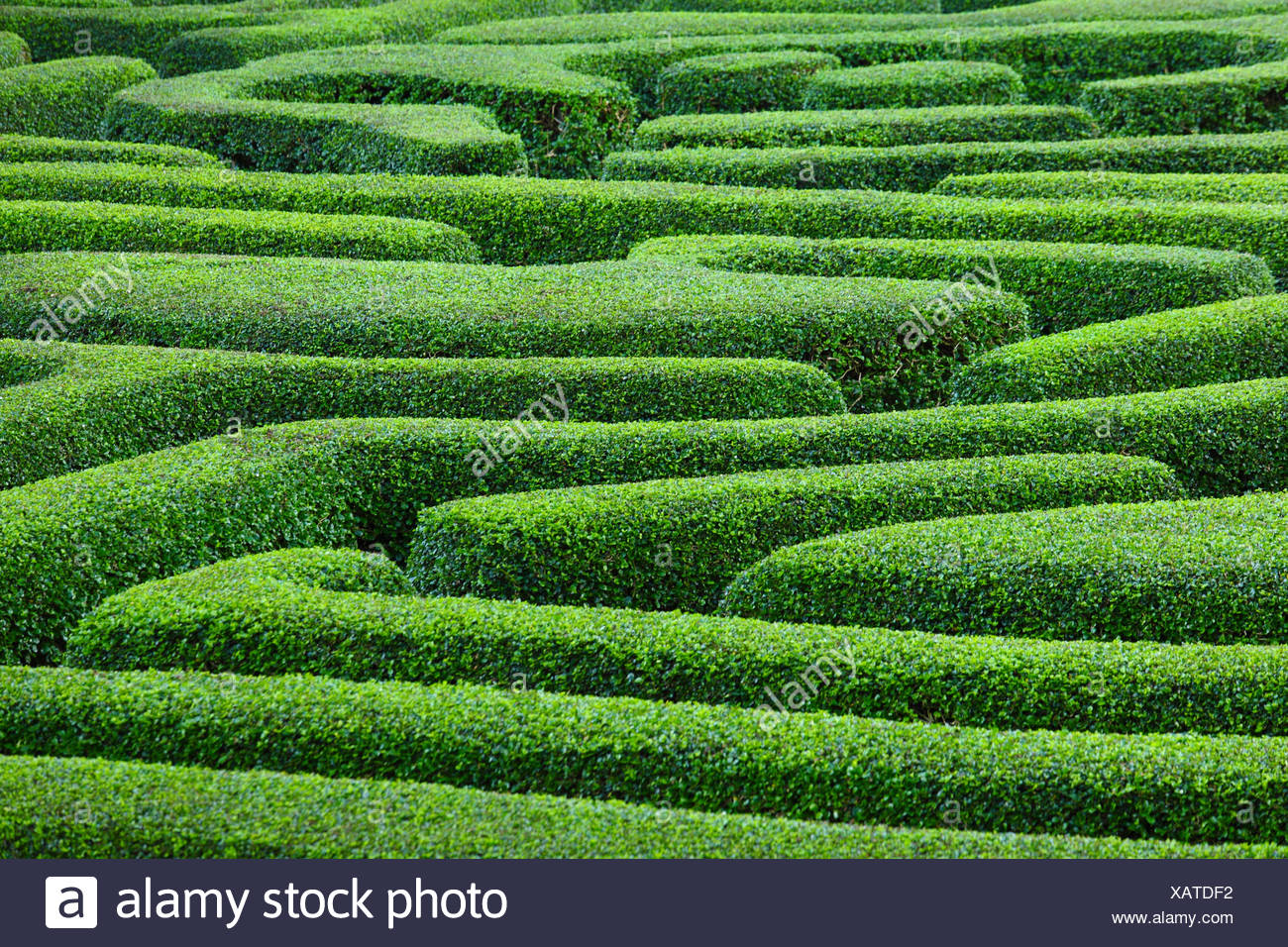 Hedge Maze Above High Resolution Stock Photography and Images - Alamy