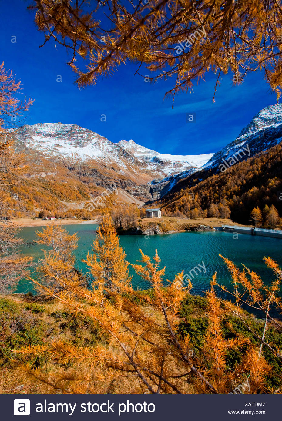 Alp Grum High Resolution Stock Photography and Images - Alamy