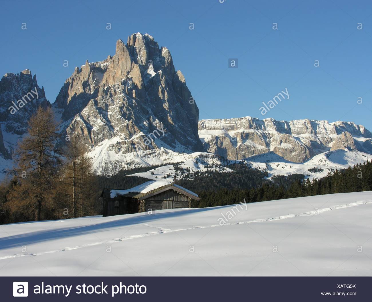 Seiser High Resolution Stock Photography and Images - Alamy