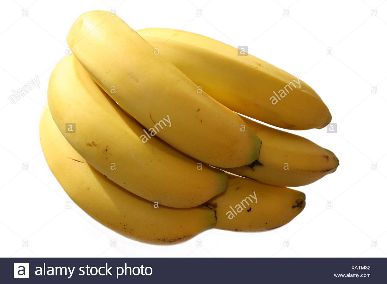 Musaceae High Resolution Stock Photography and Images - Alamy