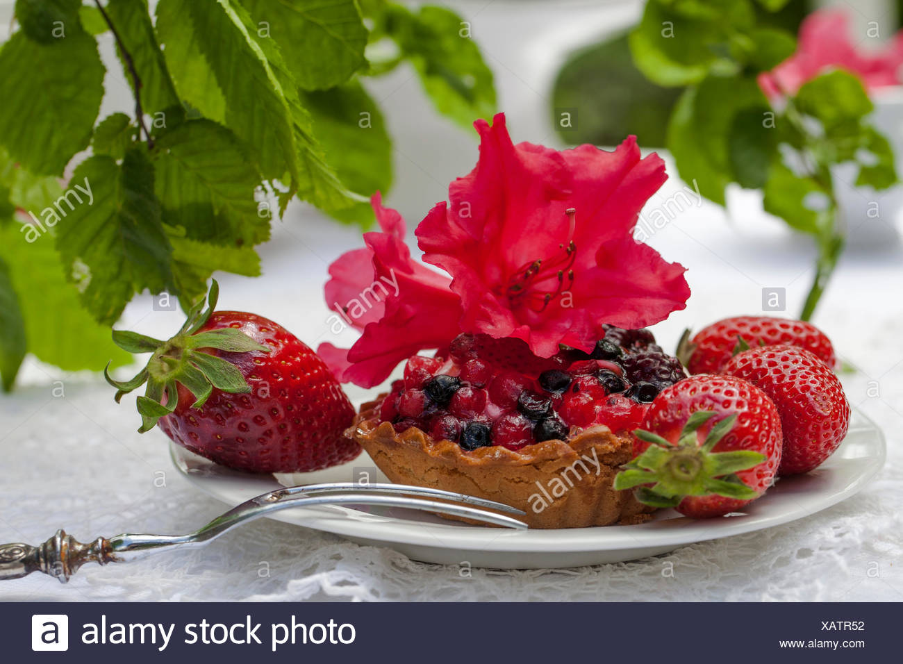 Fruit Rhododendron High Resolution Stock Photography and Images - Alamy