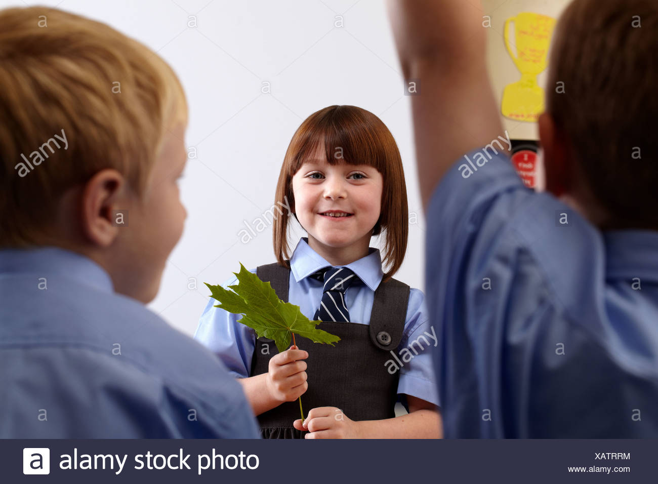 Presentation School High Resolution Stock Photography and Images - Alamy