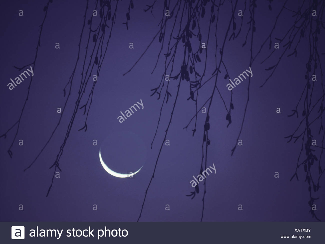Purple Moon High Resolution Stock Photography and Images - Alamy