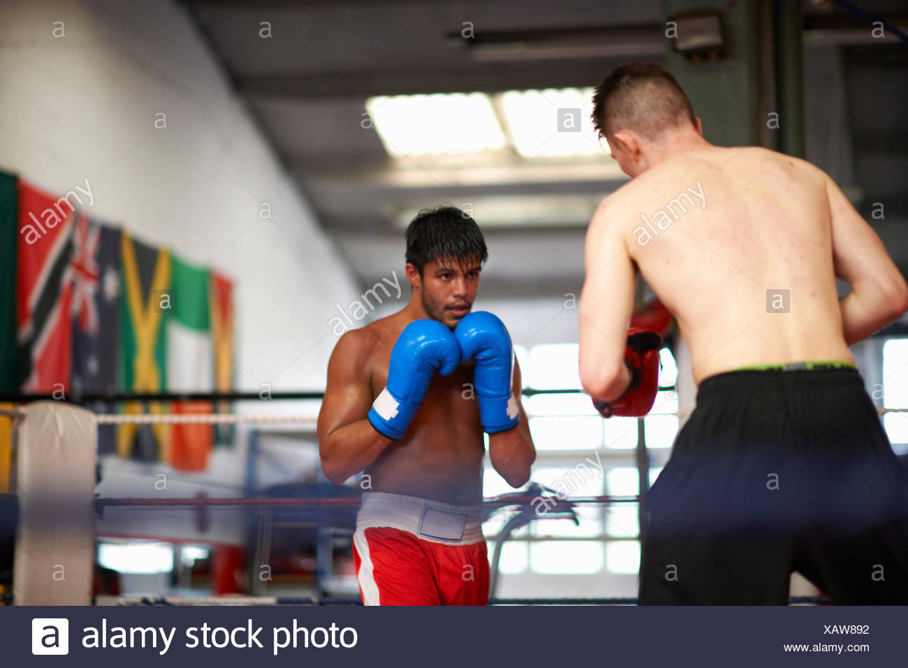 Boxers Sparring High Resolution Stock Photography and Images - Alamy